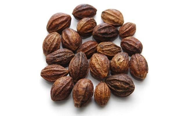 Kadukkai (Myrobalan): Health Benefits | Uses, Organic Facts ...